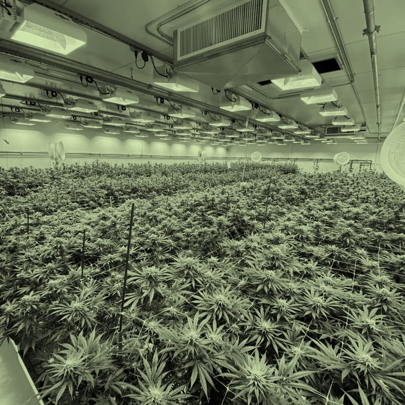 Projects - GreenPath Design